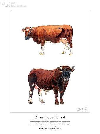 Brandrode Rund - J&L Lijstenmakerij